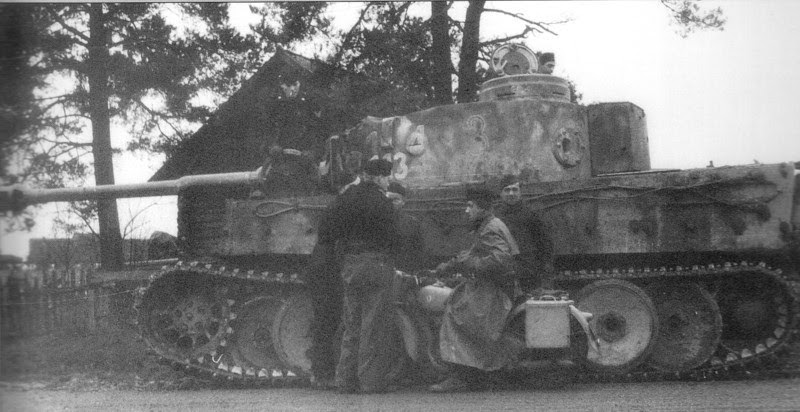 Fabrizio Pincelli: Tiger Early 3-14-113: start building.