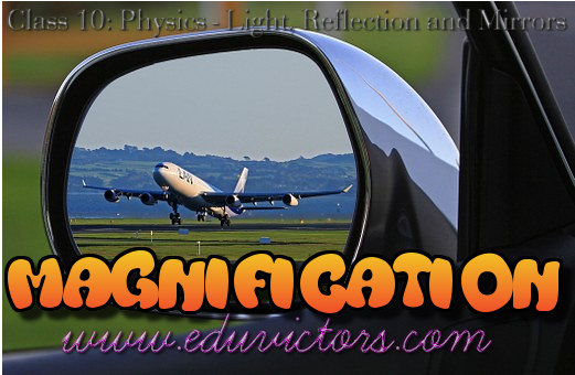 CBSE Papers, Questions, Answers, MCQ ...: Class 10 - Physics - Light ...