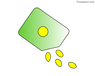 FourPencil: How to draw a Sow for kids - step by step