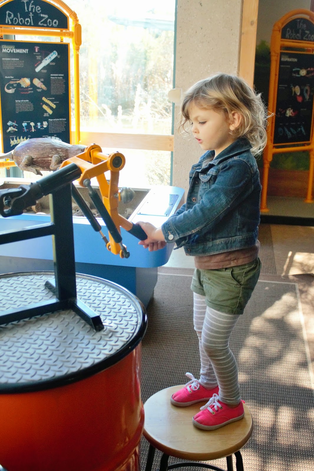 pearl + honey: Austin Science + Nature Center