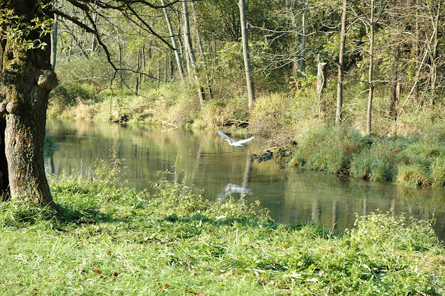 My World in Pennsylvania and Beyond: Newville, PA - Big Spring Creek