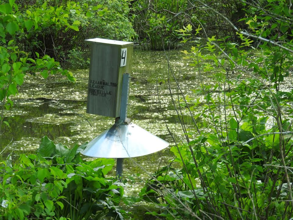 Terrierman's Daily Dose: On Guard from Predators