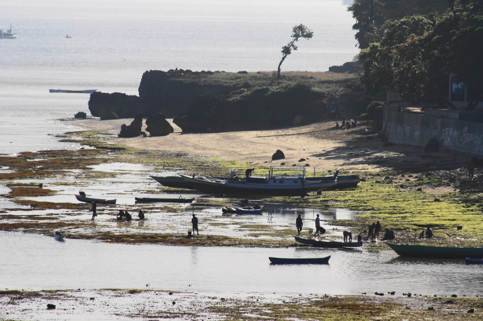 ROCK'S ADVENTURES: INDONESIA - WEST TIMOR - KUPANG - april 2013