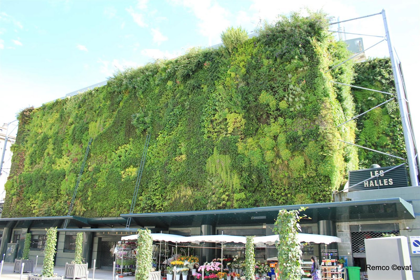 Interiorlivingwall: vertical green wall