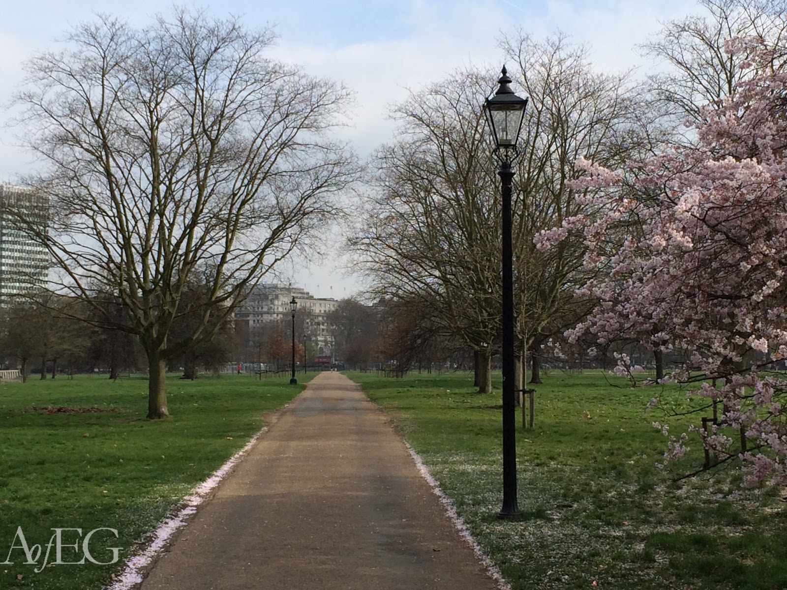 The Art of English Gardens: Hyde Park, London