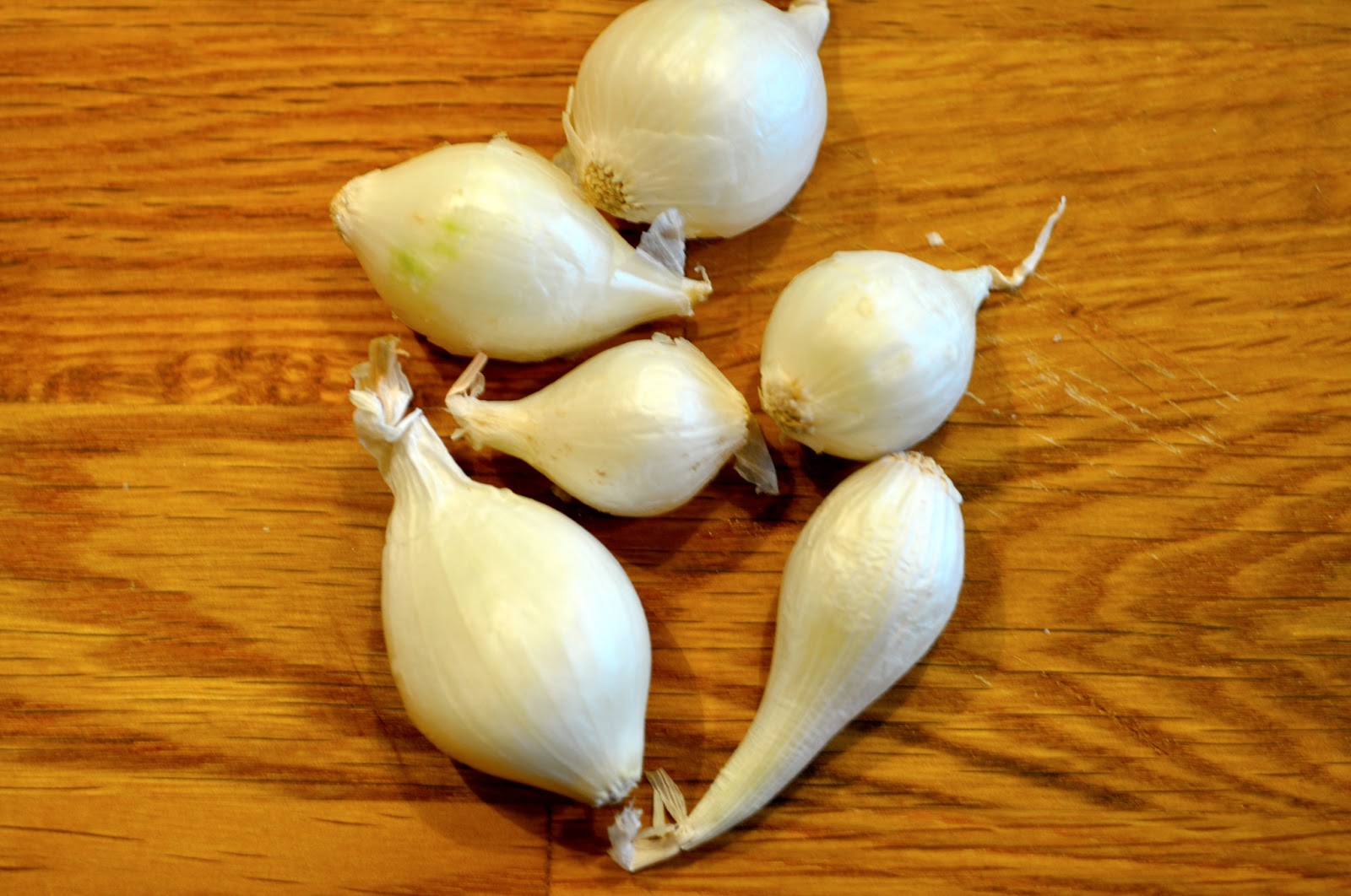 One Classy Dish: Quick Tips