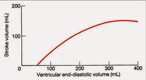 Manuali di Medicina Intensiva: Fisiologia dell'atrio destro (Capitolo 2 ...