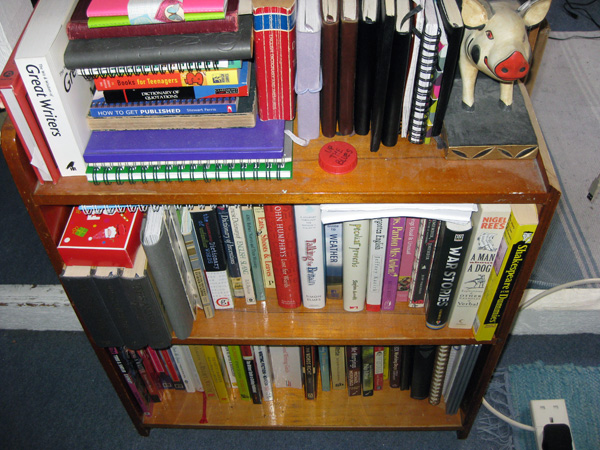 Bookcase Showcase: Author Dave Cousins