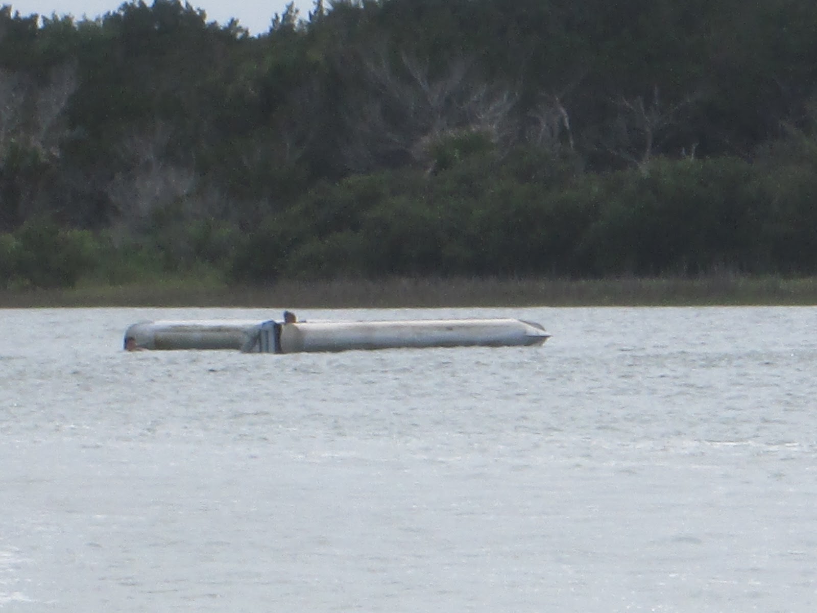 Adventures of Surona and DeJa Vu