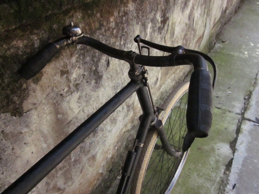 paramanubrio: Steyr 1901