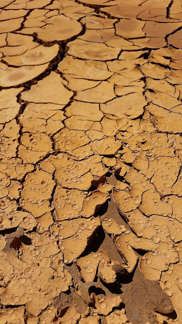 Rocks and Rocksalt: Sedimentary structures - mud cracks and rain droplets