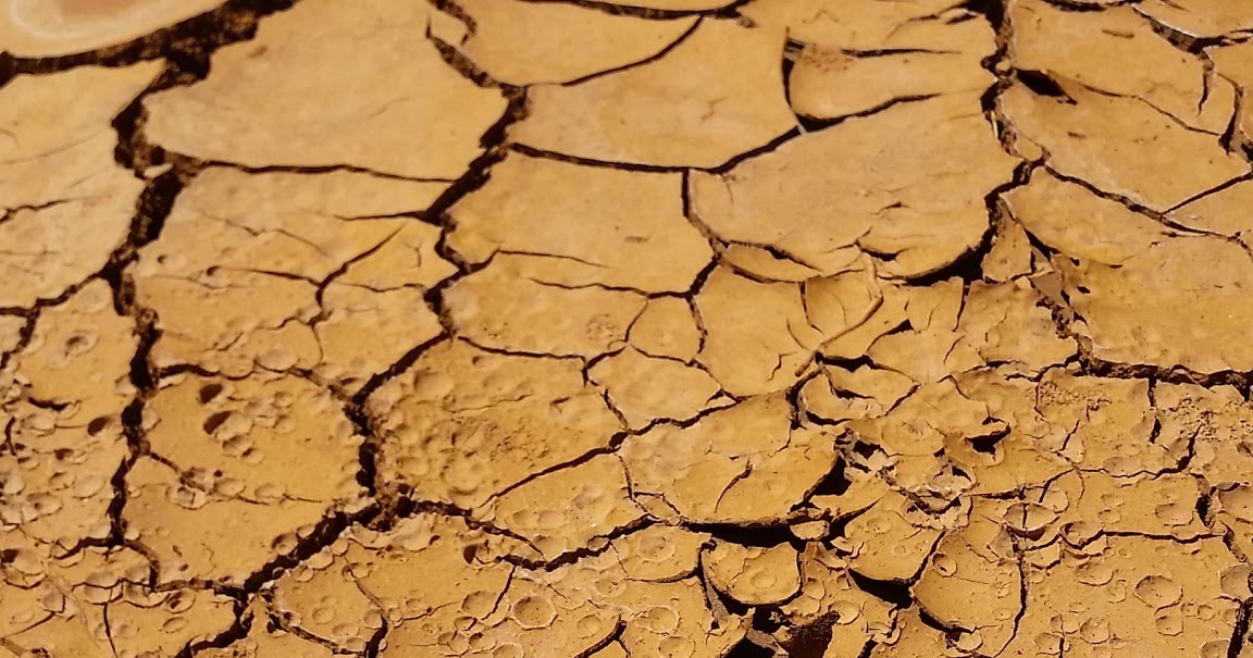 Rocks and Rocksalt: Sedimentary structures - mud cracks and rain droplets