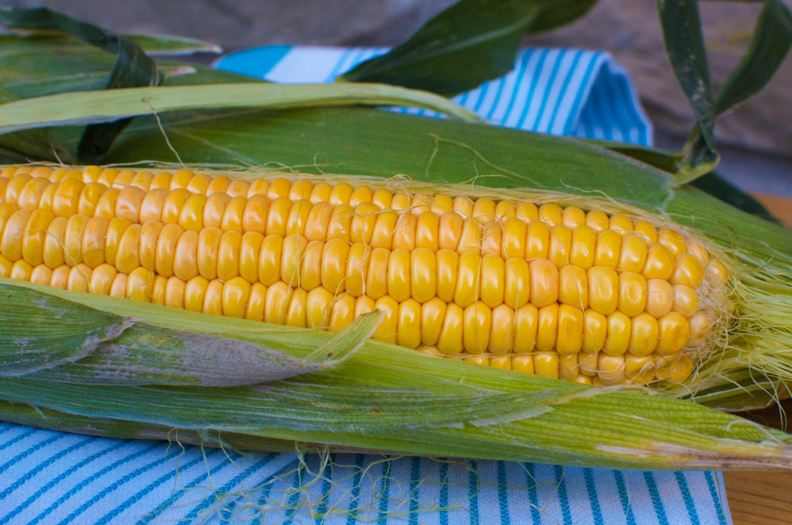 La Tavola Marche: Oh How I've Missed Corn on the Cob...The Trials ...