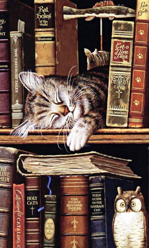 Good Books For Young Souls: Book Cats