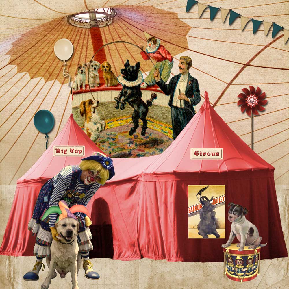 Cooper's Corner: circus scenes by star song studio