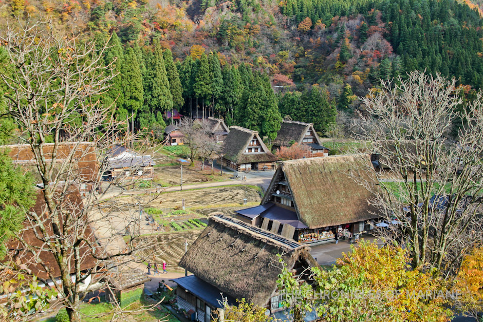 The Ambitious Day Trip to Shirakawago and Gokayama | The Chronicles of ...