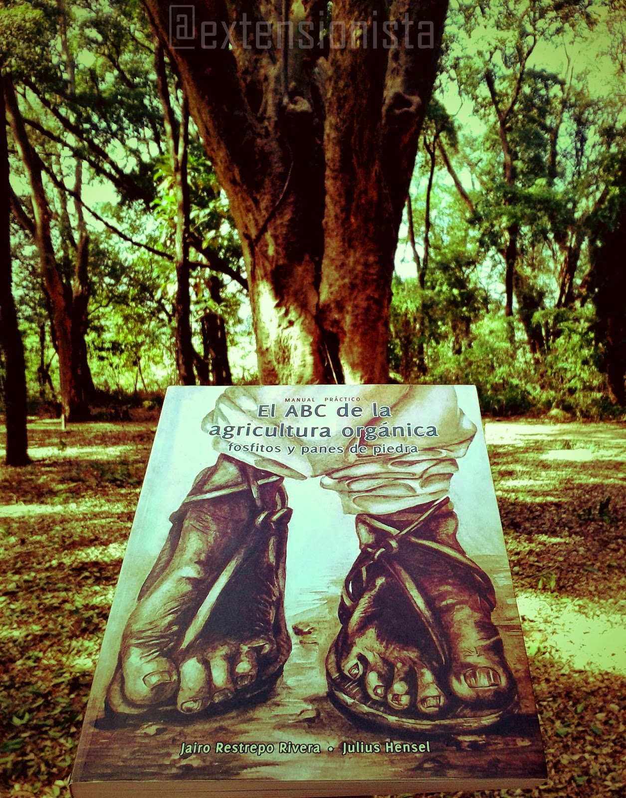 AgroBonômica: O que é JUQUIRA CANDIRÚ Satyagraha?