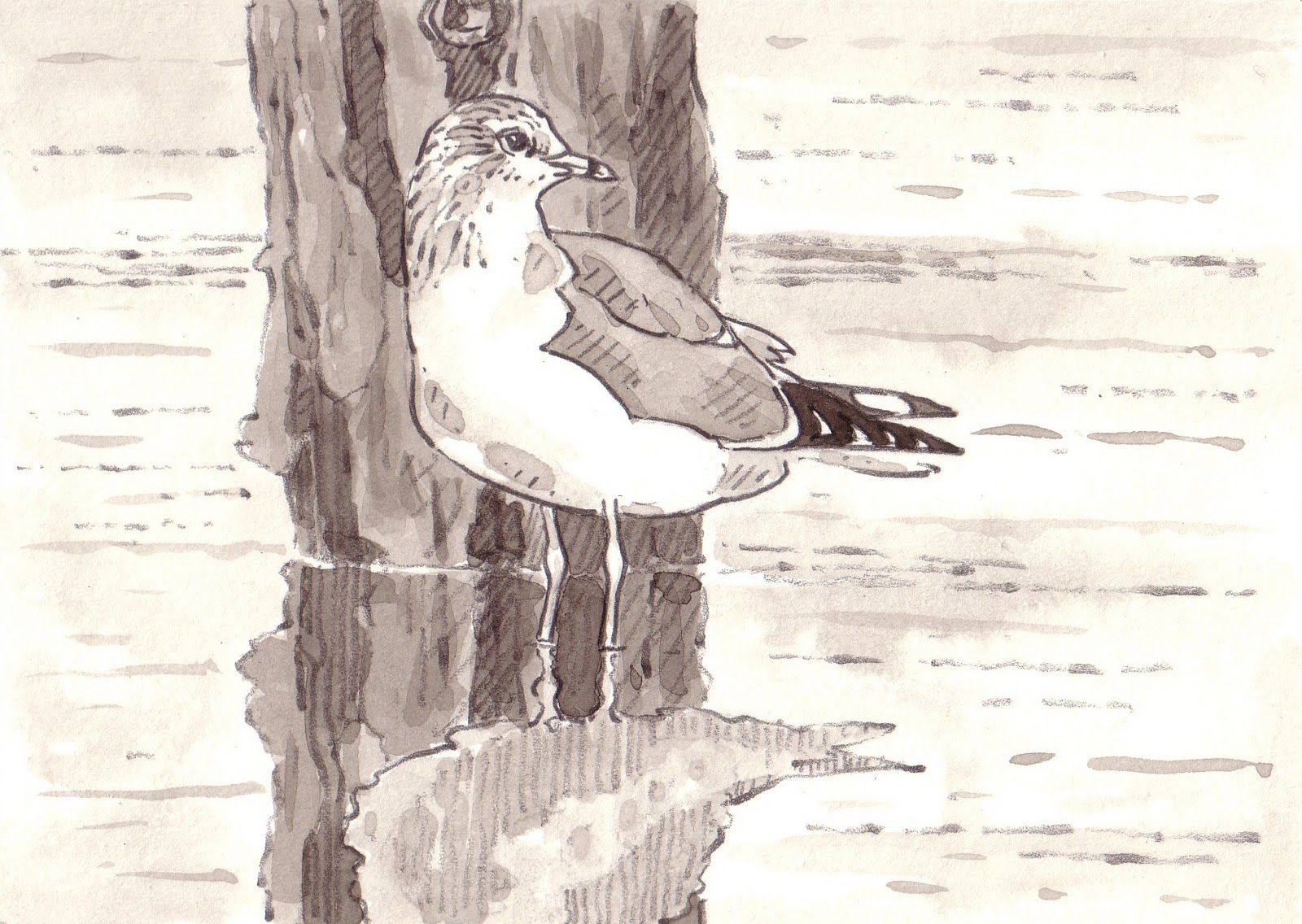 Wildlife with Pen and Brush: Illustrations