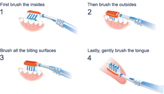Dental Health Care : How to brush teeth properly you must know