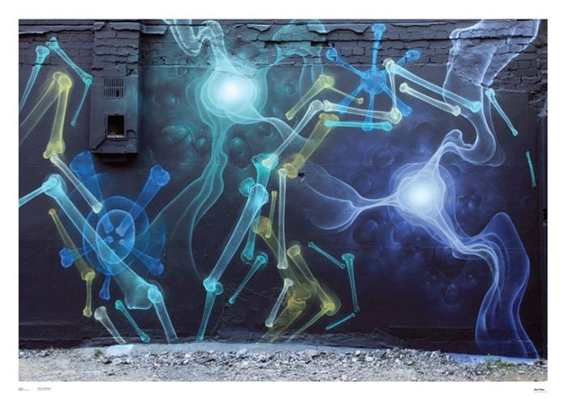 Shok1 X-Ray Graffiti Poster - DA MEN MAGAZİNE