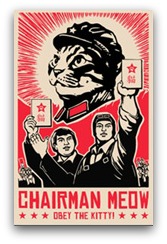 The Auntie Times: Introducing Chairman Meow