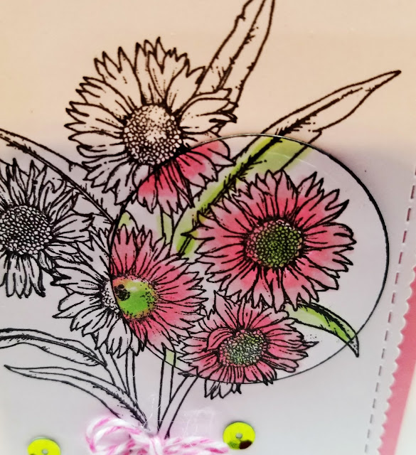 Nellies Nest: Spotlight Technique