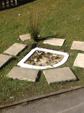 Inspiration and action to change an outdoor space | Creative STAR ...