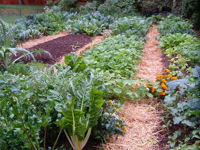 Durham Council of Garden Clubs: Planning the Fall Garden: General Tips