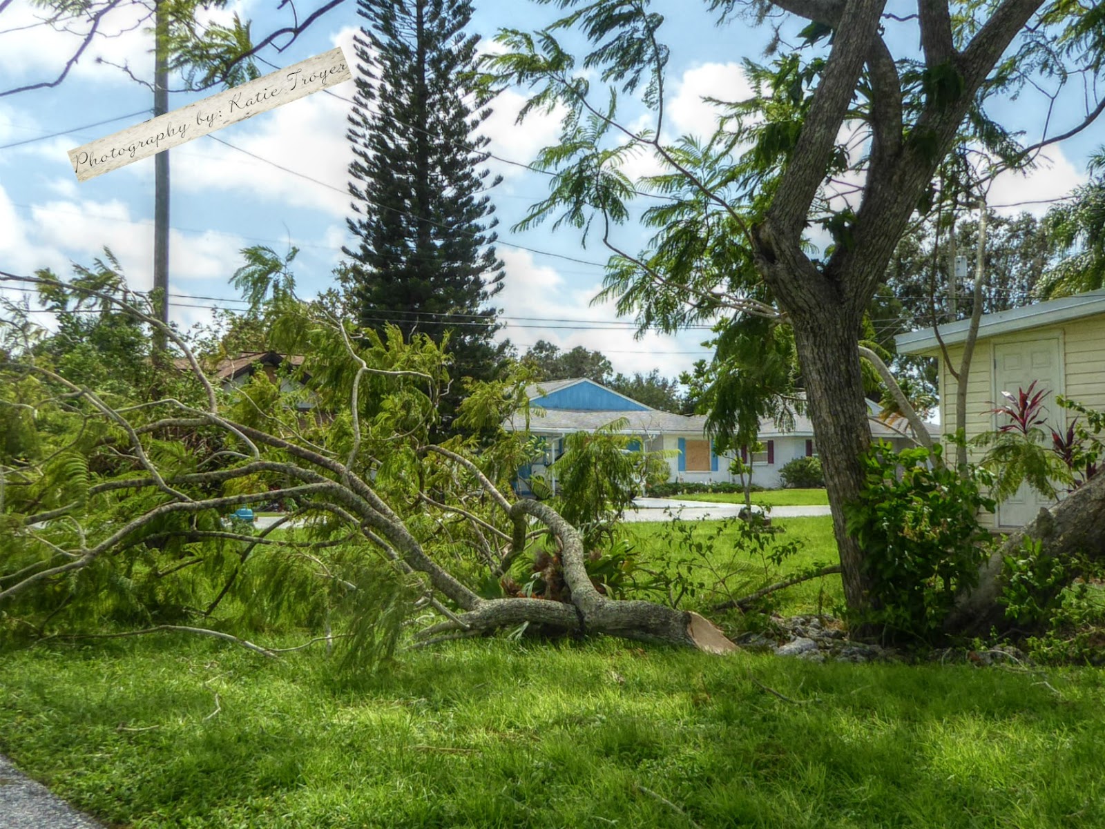 Pinecraft-Sarasota: Pinecraft After Irma