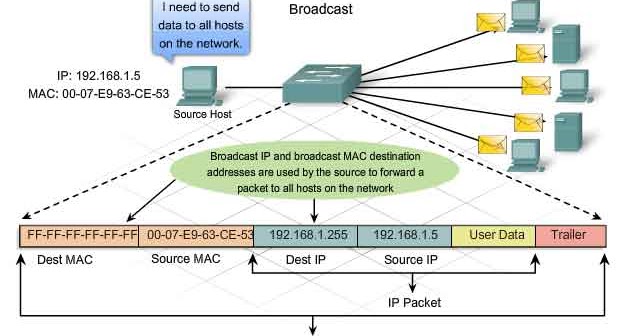 Networking(DCCN): Ethernet Frame