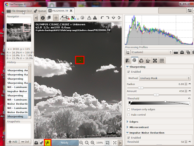 scribble's scribbles: Infrared--RT's simple workflow.