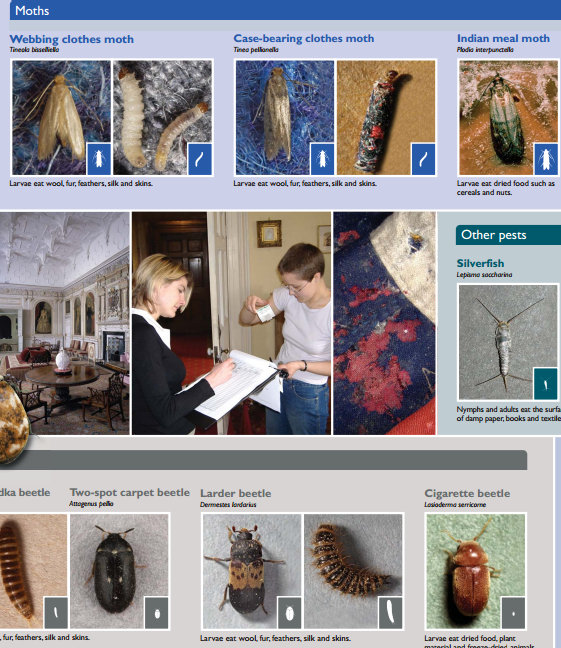 Ingmar bladert en schrijft: september 2012