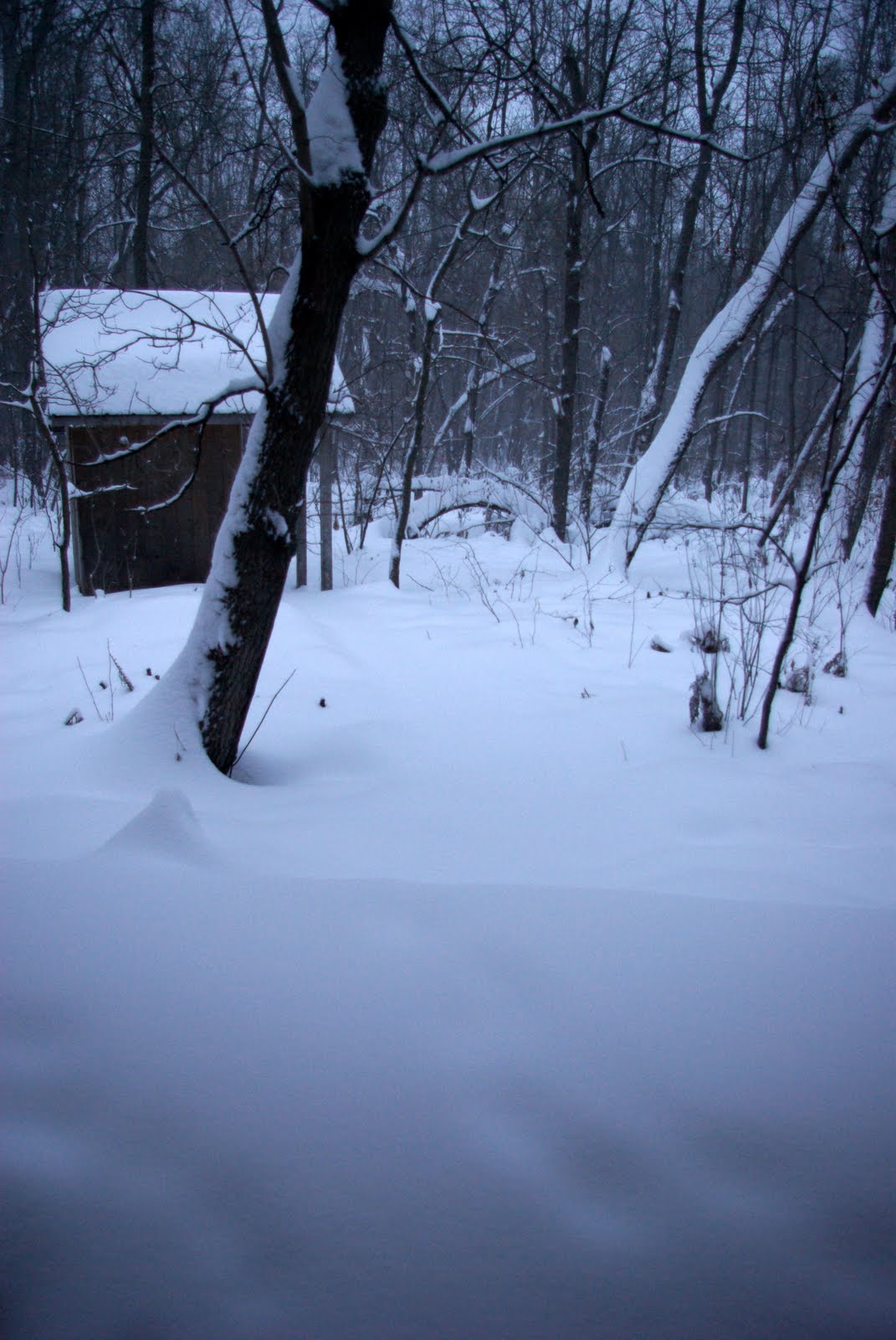 BJ's Outdoor Nostalgia