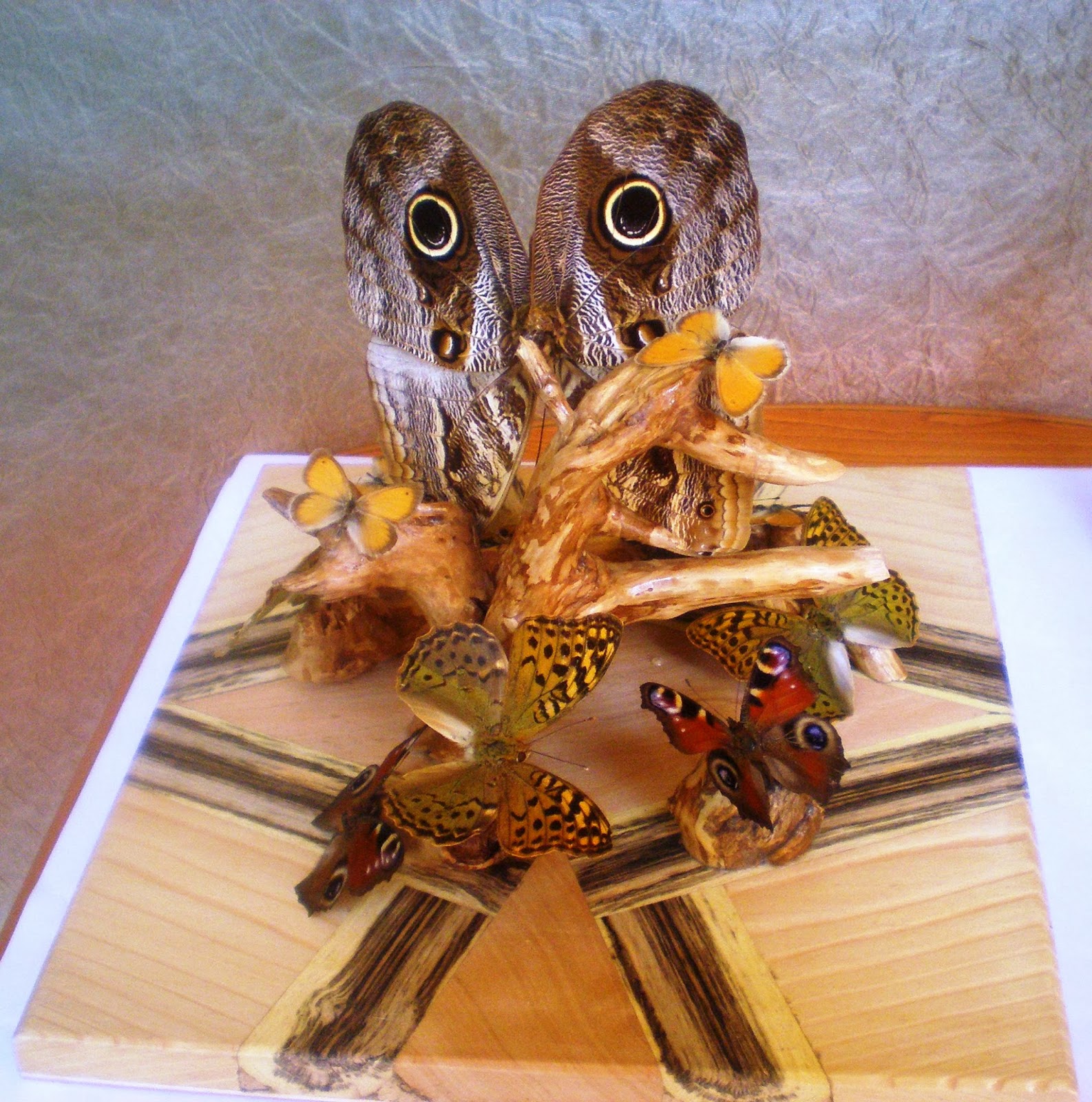 Fluturi Inramati : O lucrare plina de simbolistica : sub forma ...