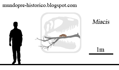 Mundo Pré-Histórico: Miacis, a mãe de todos os Carnívoros