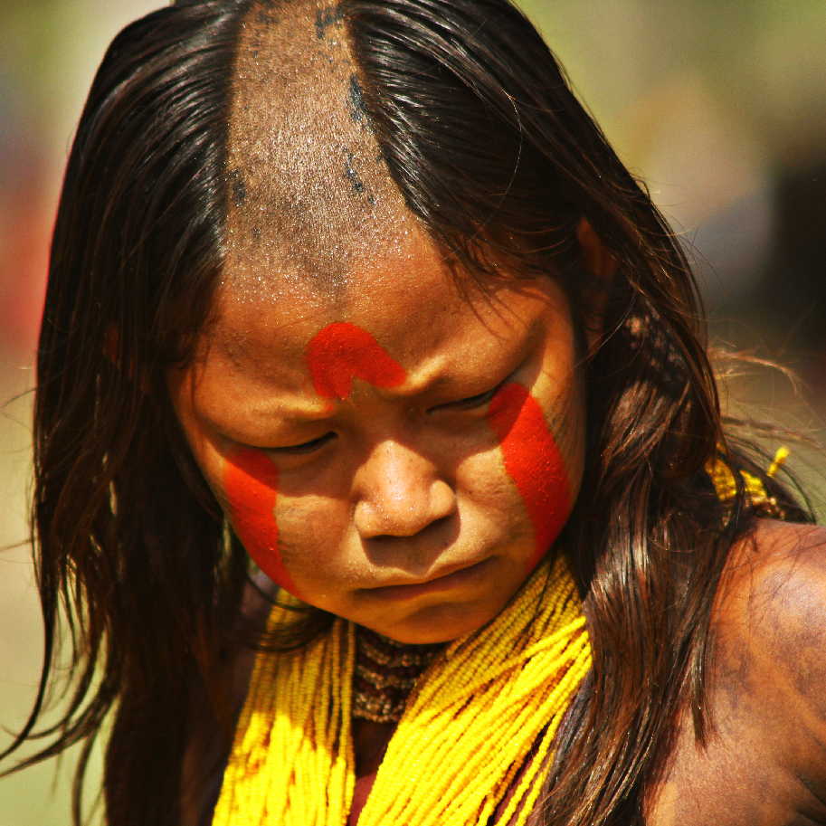 Povos Indígenas Brasileiros: Kayapó