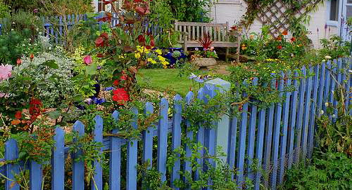 Two Men and a Little Farm: INSPIRATION THURSDAY, BLUE PICKET FENCE