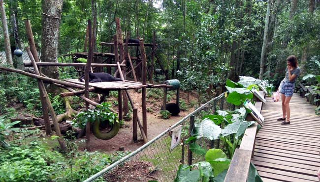 Some stories about us: Day Trip to Kuang Si Waterfall, Luang Prabang