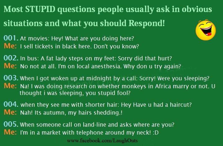 Have Ultimate Fun: Joke: Stupid Questions
