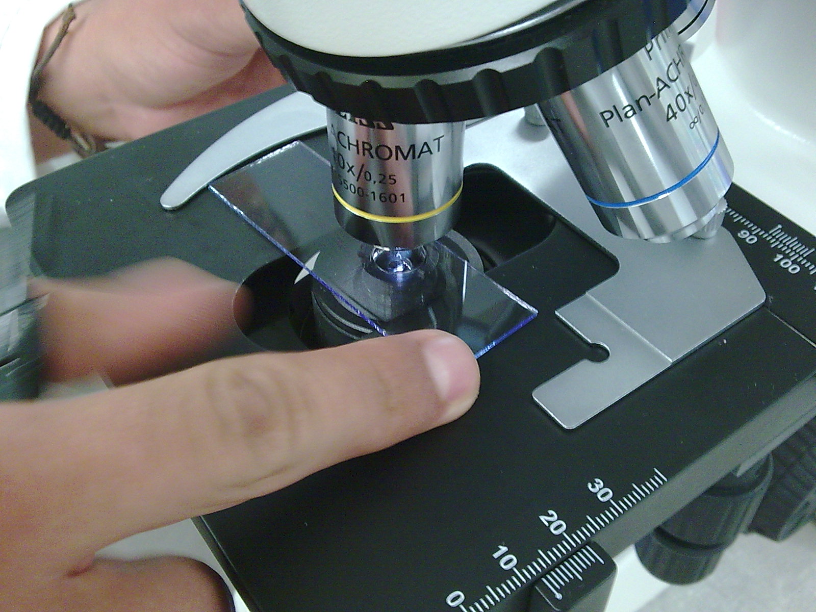 Grupo B de Microbiología de la FCQ: Actividad 2; La microscopía.