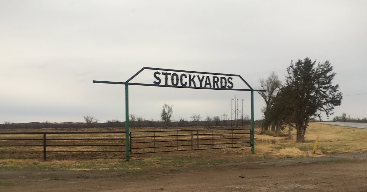Cow Chip, One of Oklahoma's Finest Festivals