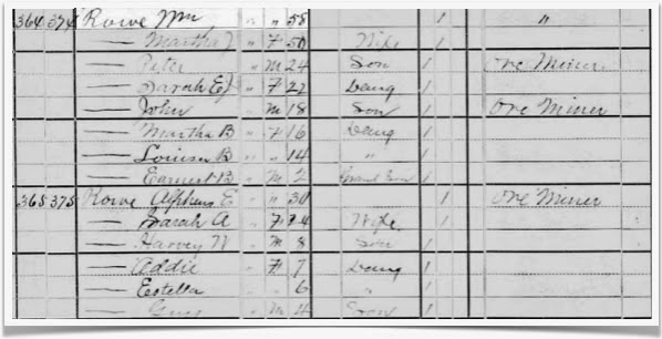 A Hobby Tree: William Rowe 1822-1893 (111010)