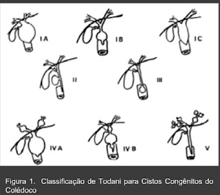 CIRURGICA CALIXTO: Classificação de Alonso-Lej/Todani para Cistos ...