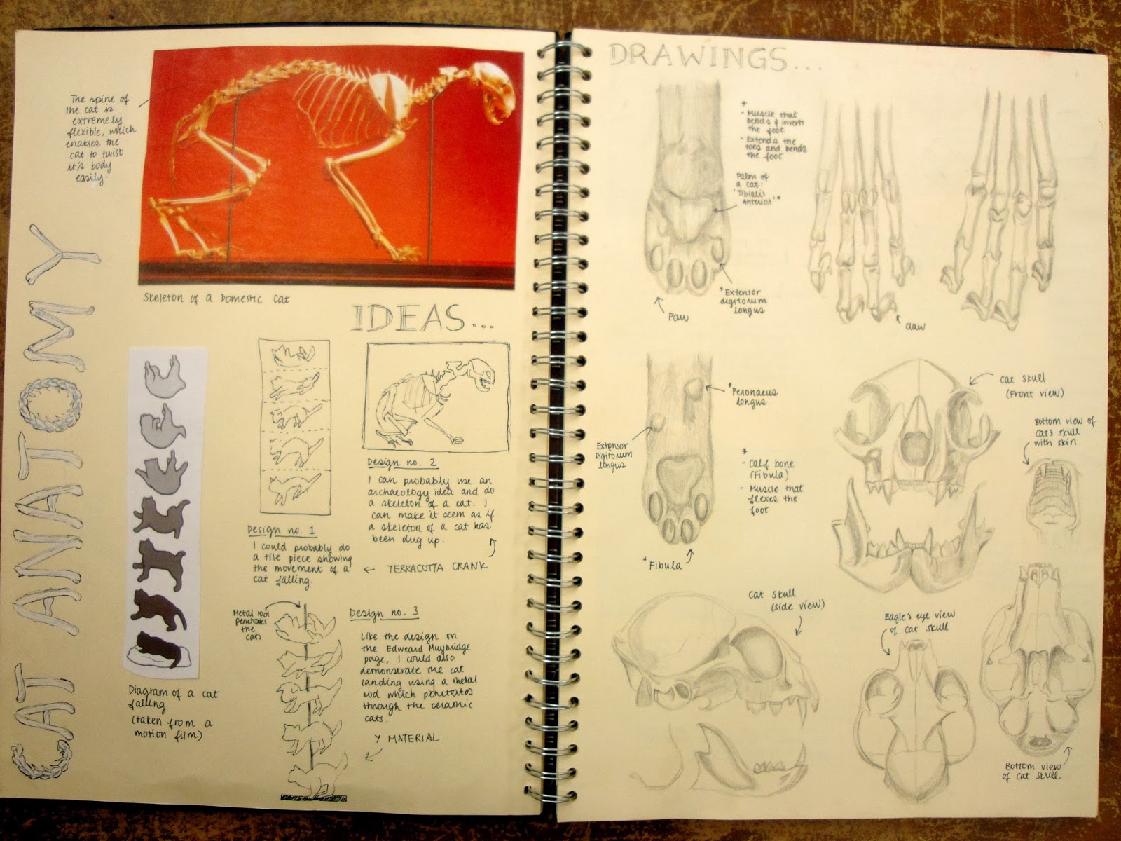 Shawn Kwan A-Level Art & Design and Ceramics: Portfolio Interview ...