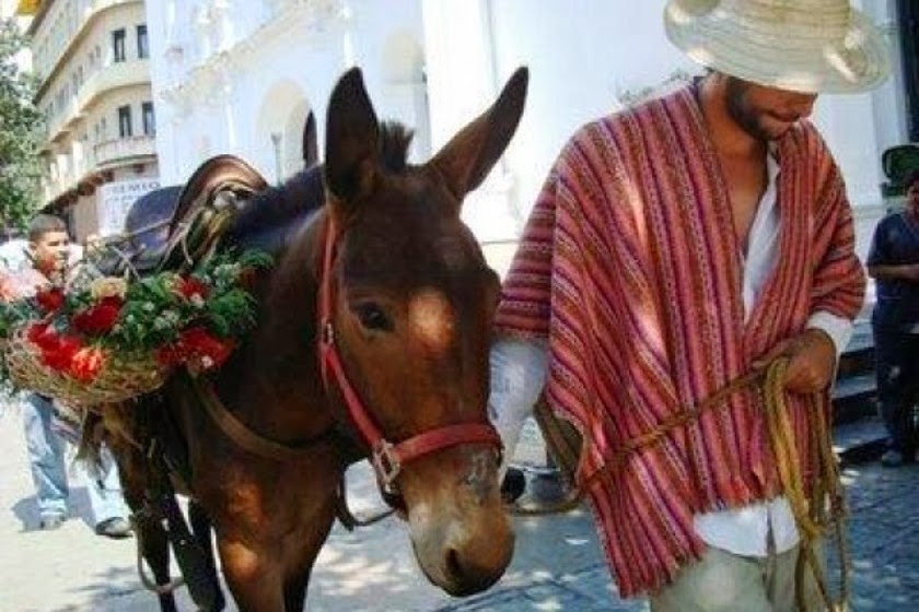 Memorias 24: Llegó Pacheco