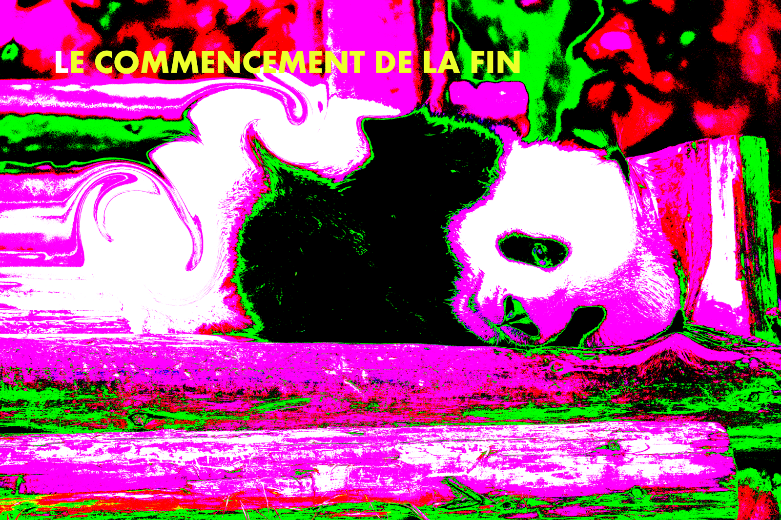 Arts Plastiques - Institut de La Tour: Une découverte extraordinaire ... Arts Plastiques - Institut de La Tour: Une découverte extraordinaire ...