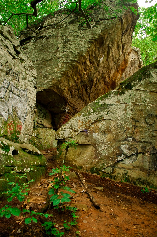 One State, Two Boys: Moss Rock Preserve - Hoover, Alabama - July 15, 2011