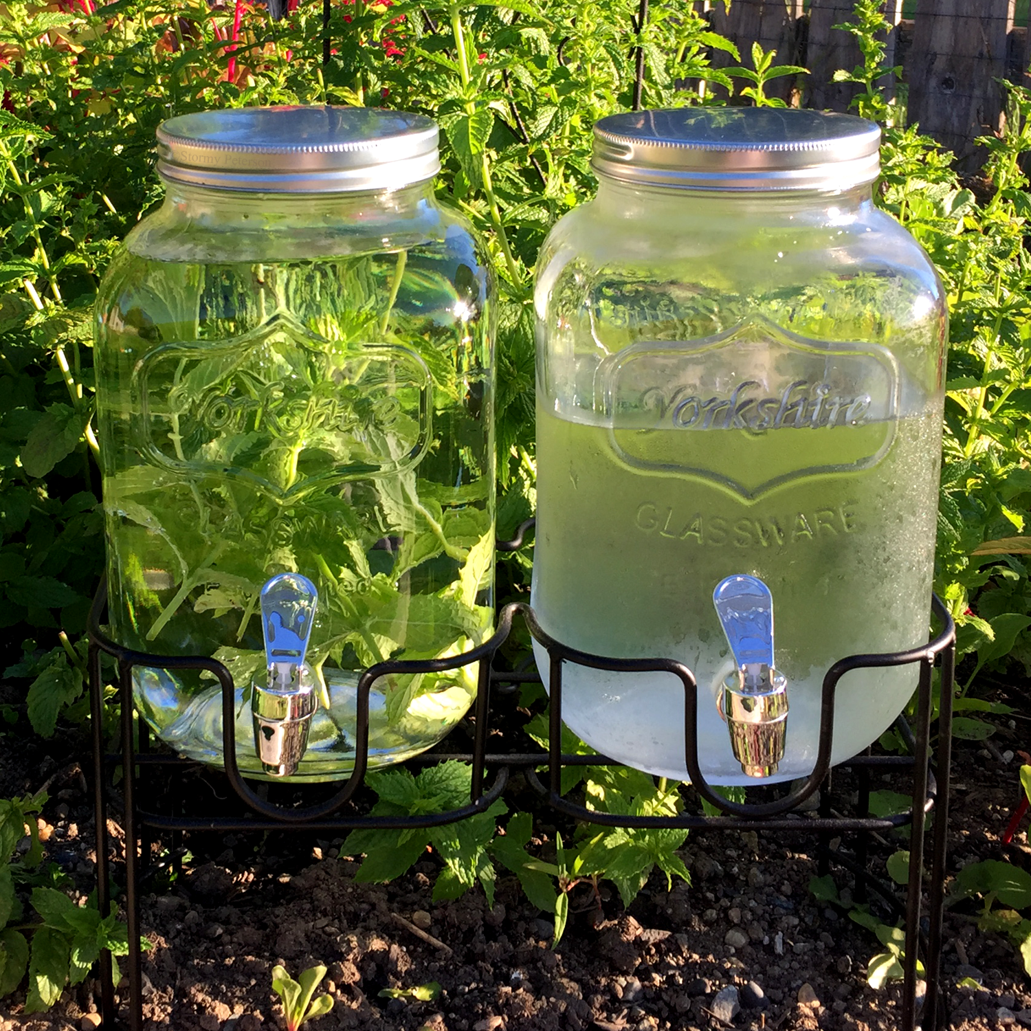 The Longshoreman's Daughter: Lord Almighty, I Feel My Temperature Rising!