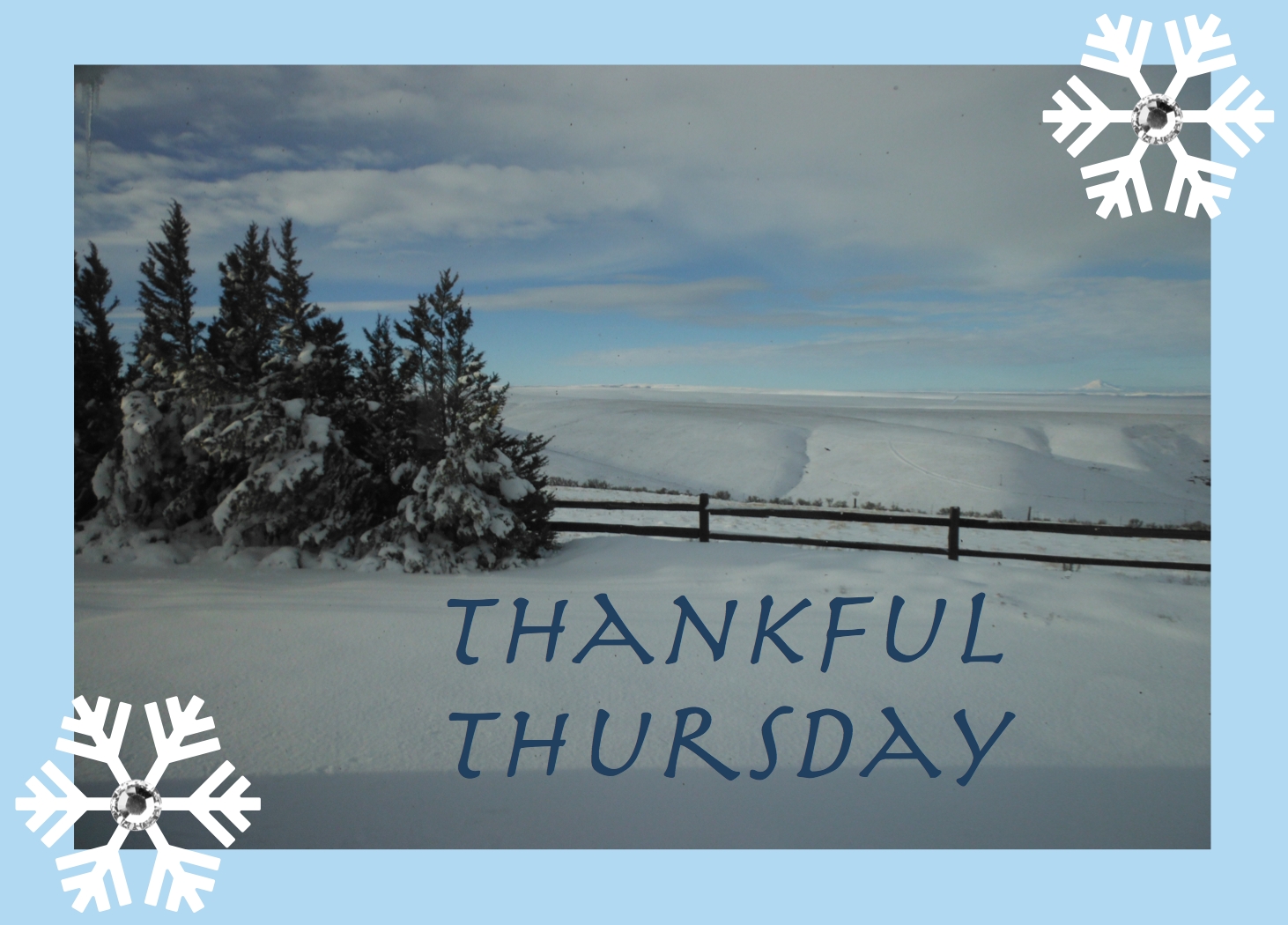 Kat's Retirement Journey: Thankful Thursday