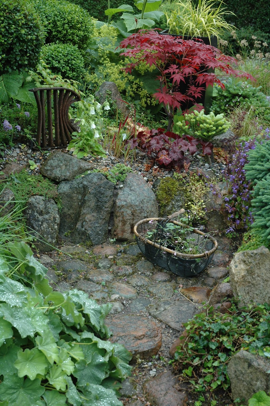 HAVETID: Havens sten og planter.